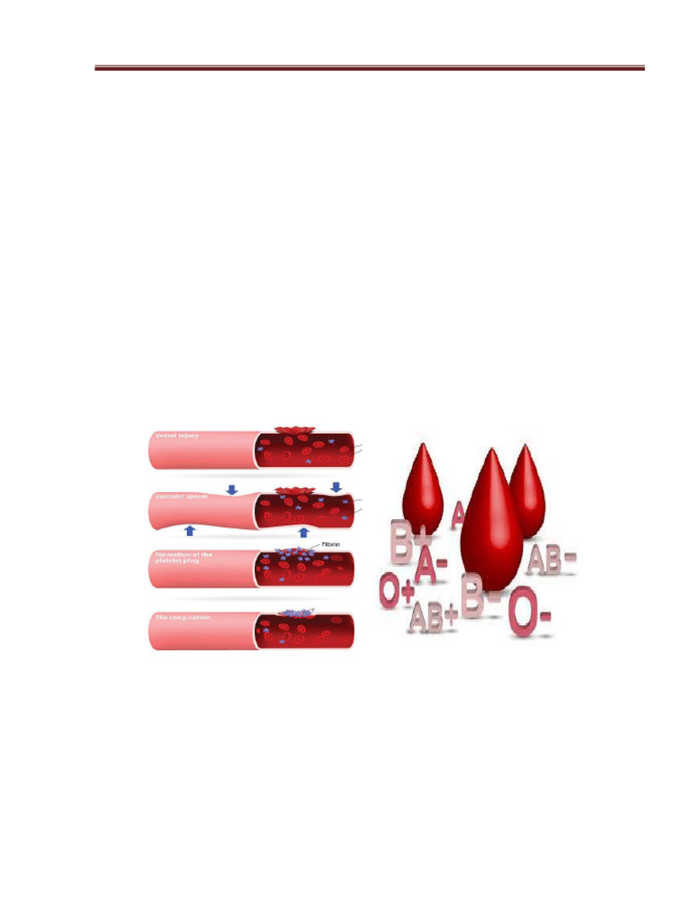 Unit 4 Lab. 2 (Hemostasis Parameters and Blood Grouping) (2) | PDF ... Unit 4 Lab. 2 (Hemostasis Parameters and Blood Grouping) (2) | PDF ...