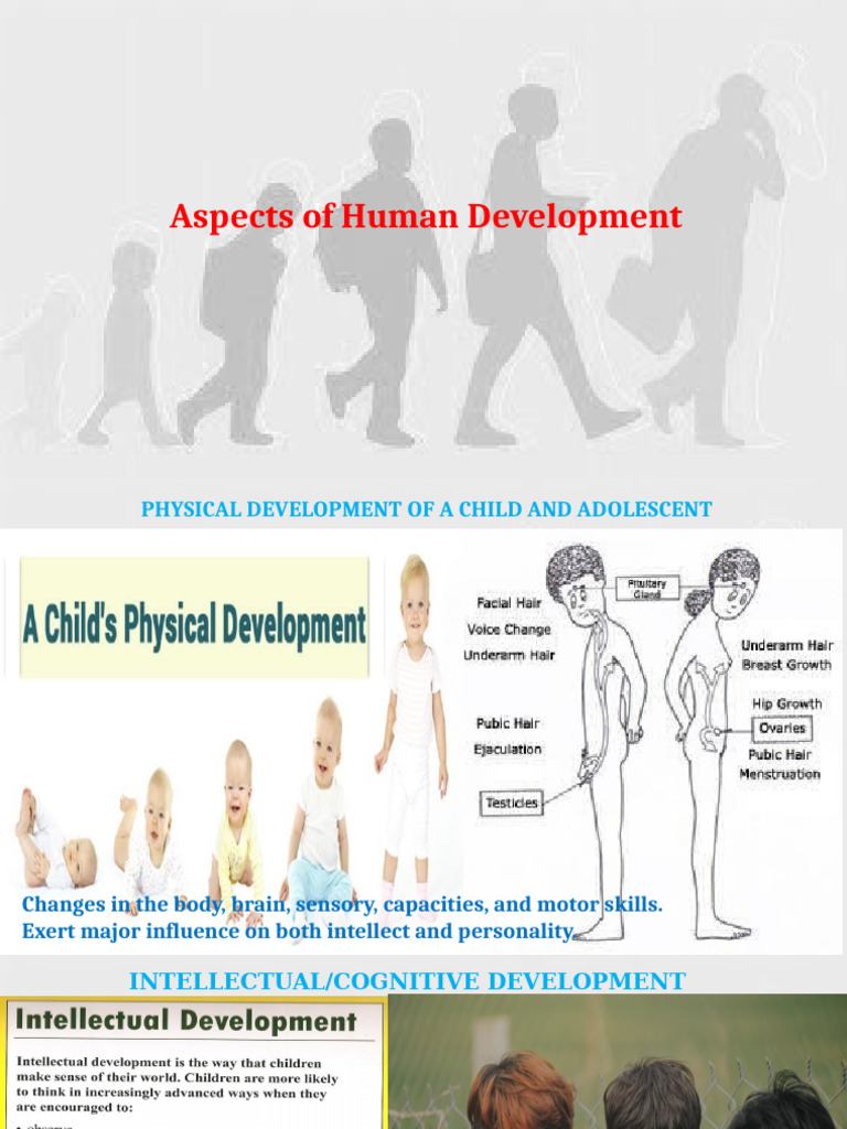 Key Aspects of Human Development | PDF | Thought | Adolescence