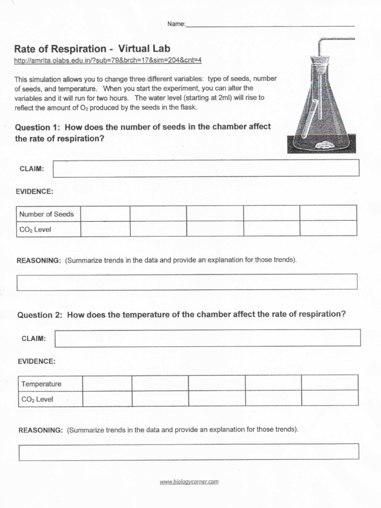 photosynthesis+virtual+lab (3) | PDF