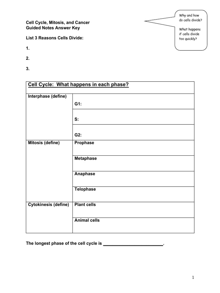 Cell Cycle Mitosis and Cancer Guided Notes Student Copy New | PDF ...