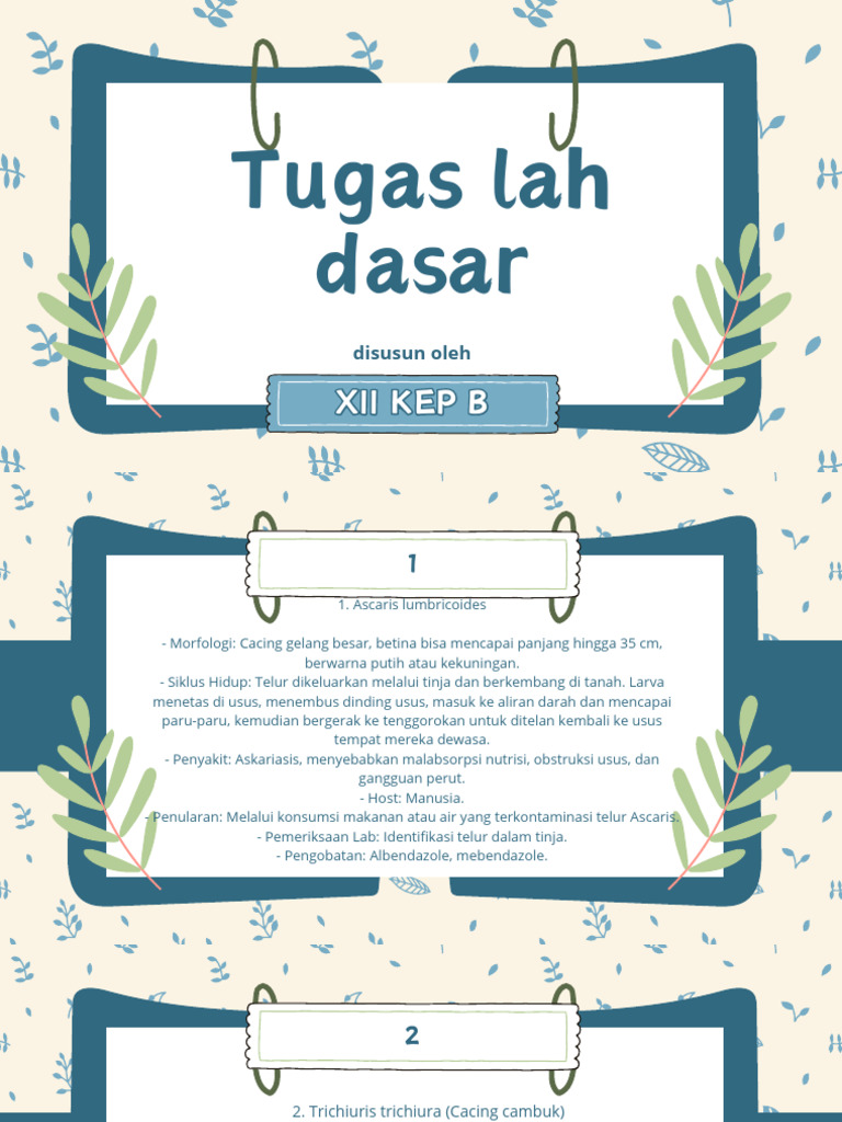 Tugas Lab Dasar - 20241010 - 120329 - 0000 | PDF