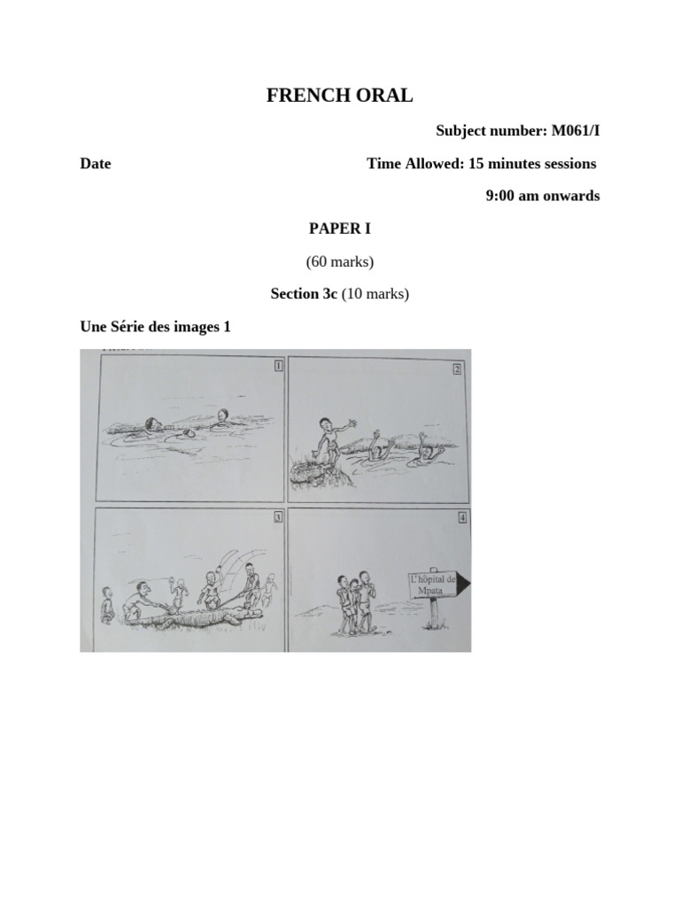 French Oral Exam Paper I | PDF