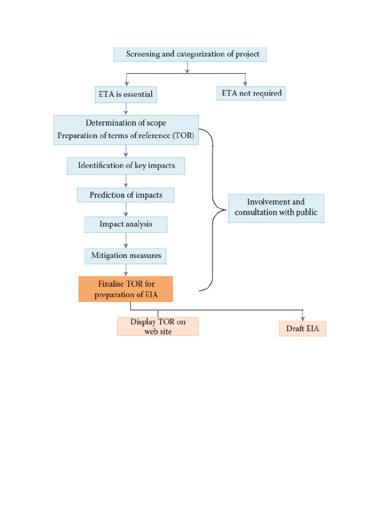 Eia Process Flowchart | PDF