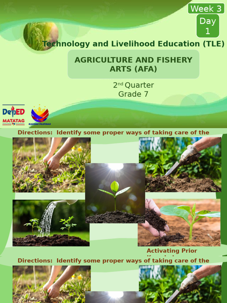 AFA Week 3 Day 1 | PDF | Waste | Compost