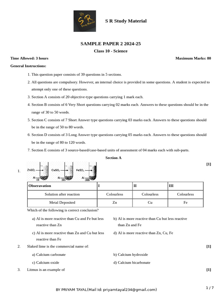 12252sample Paper 2 2024-25 | PDF | Redox | Fuse (Electrical)