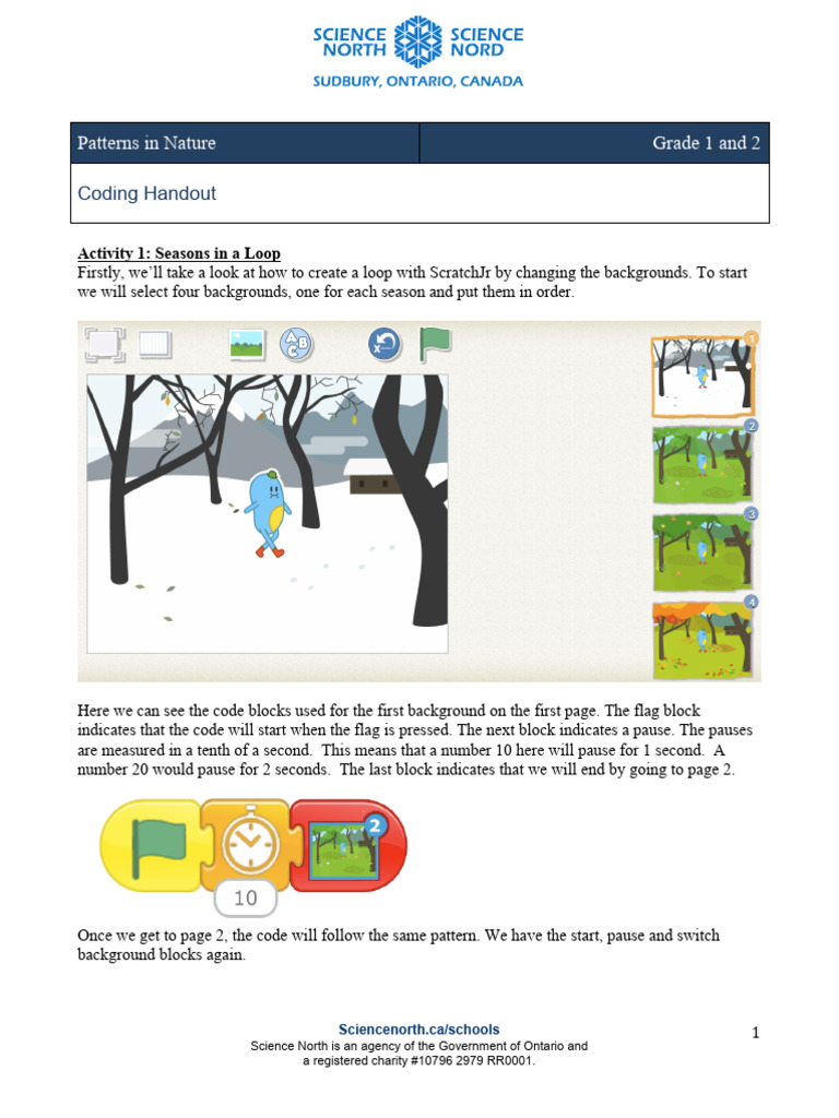 Coding Handout Patterns in Nature | PDF