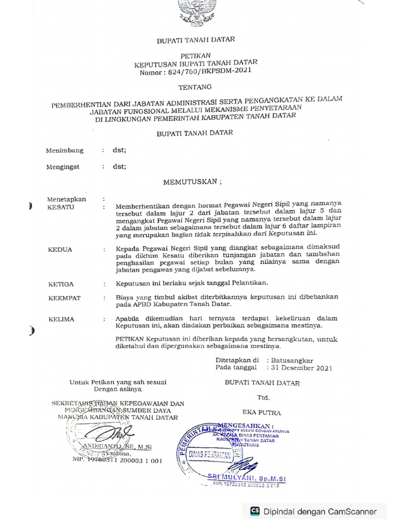 SK Fungsional Saiful Anwar | PDF