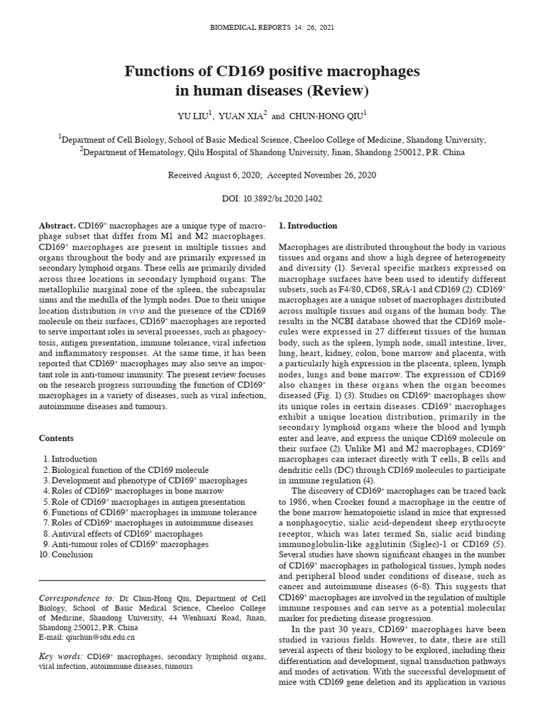 CD169 Macrophage human diseases_Rev_2021 | PDF | Macrophage | Lymphatic ...