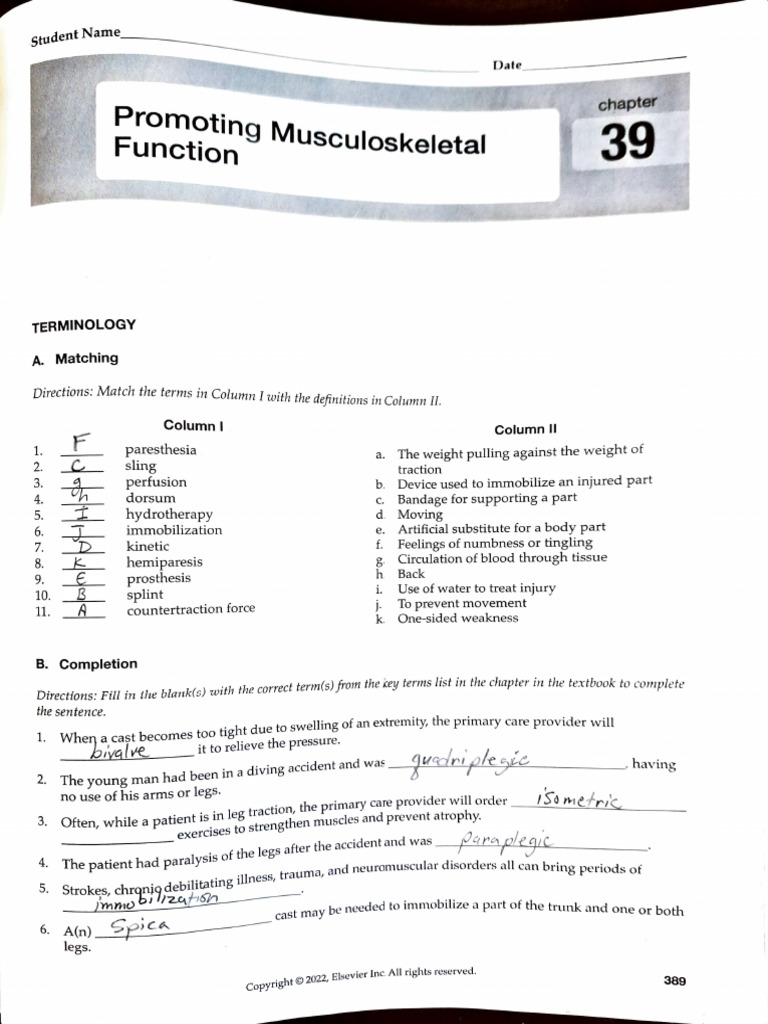 ch39 Musculoskeletal Function | PDF | Paresthesia | Diseases And Disorders