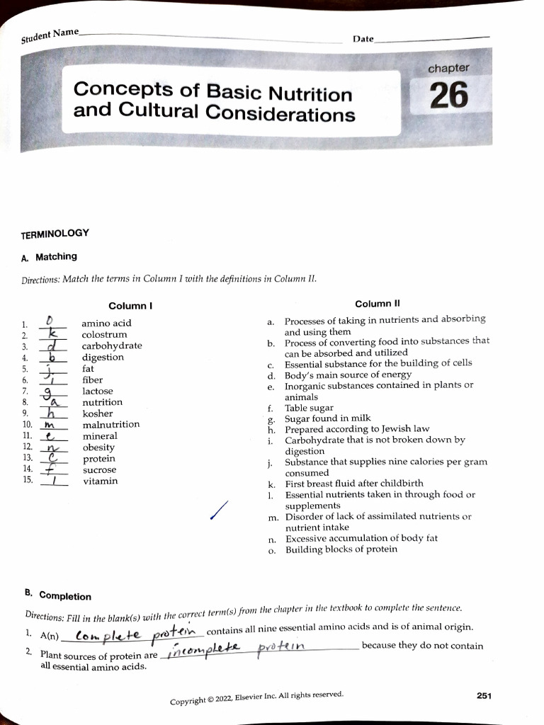 ch26 Concept Basic Nutrition Cultural Considerations | PDF | Nutrition ...