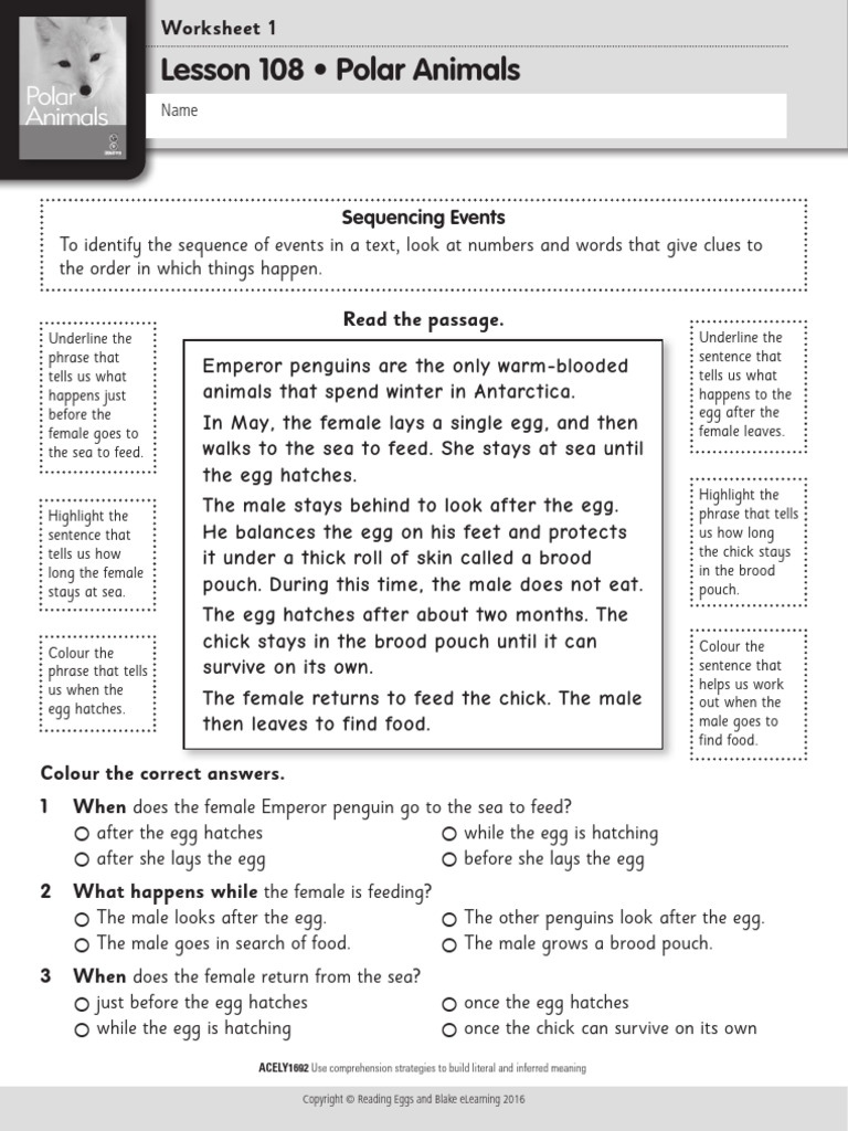 Year 4 Reading Comprehension Express 12 Pdf Reindeer Ornithology