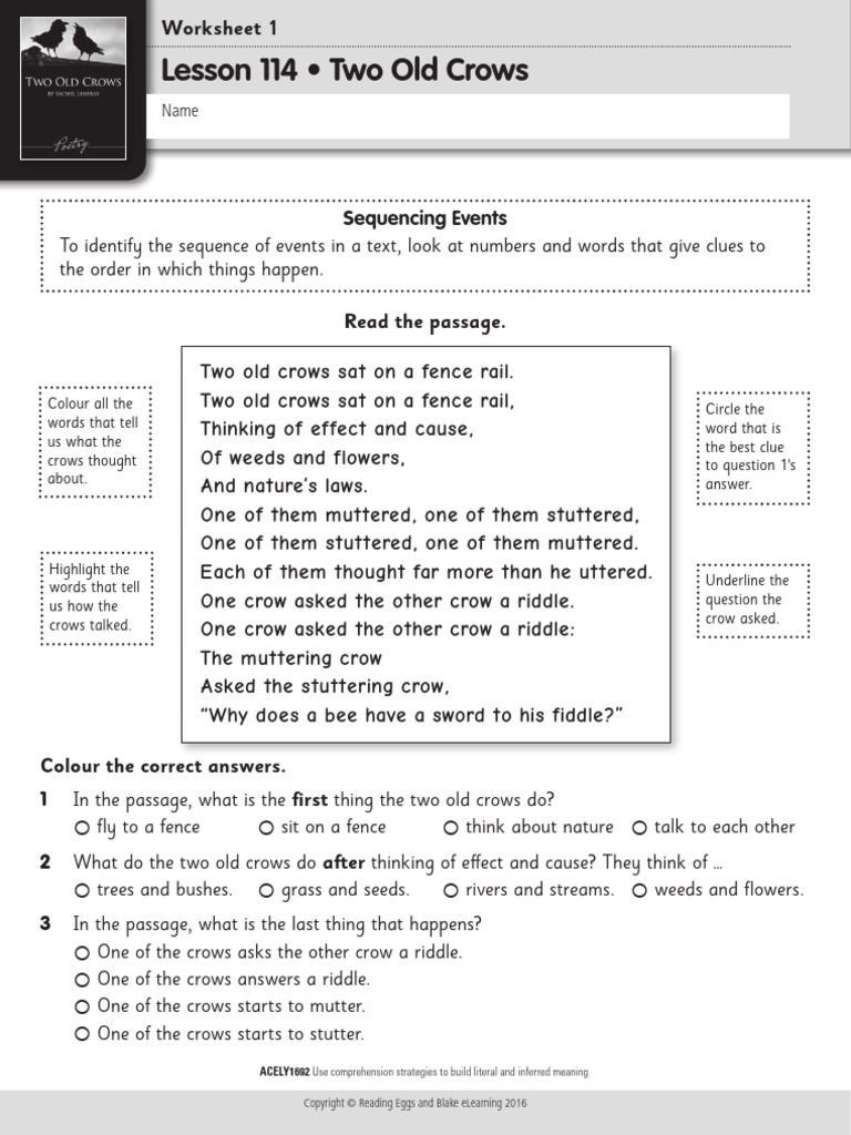 Year 4 Reading Comprehension Express 17 | PDF