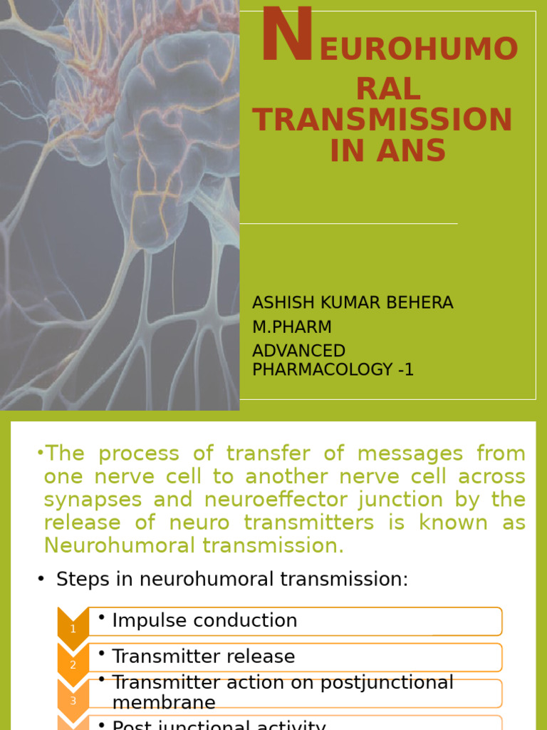 Neurohumoral Transmission | PDF | Neurotransmitter | Chemical Synapse