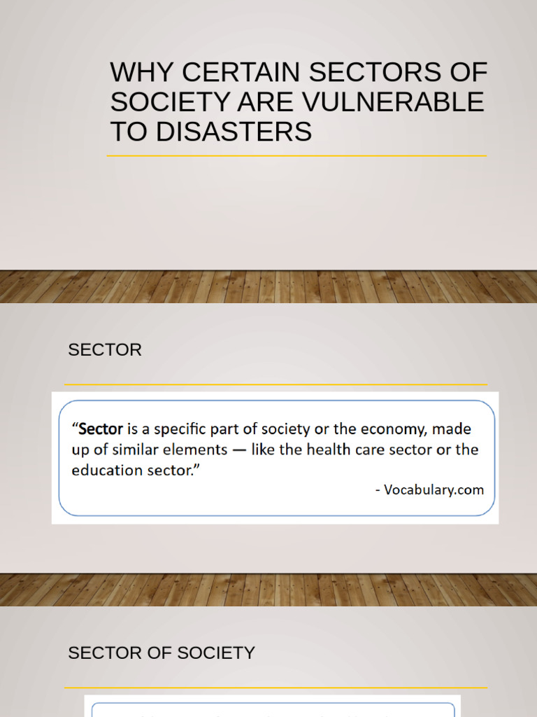 Vulnerability of Society's Sectors to Disasters | PDF