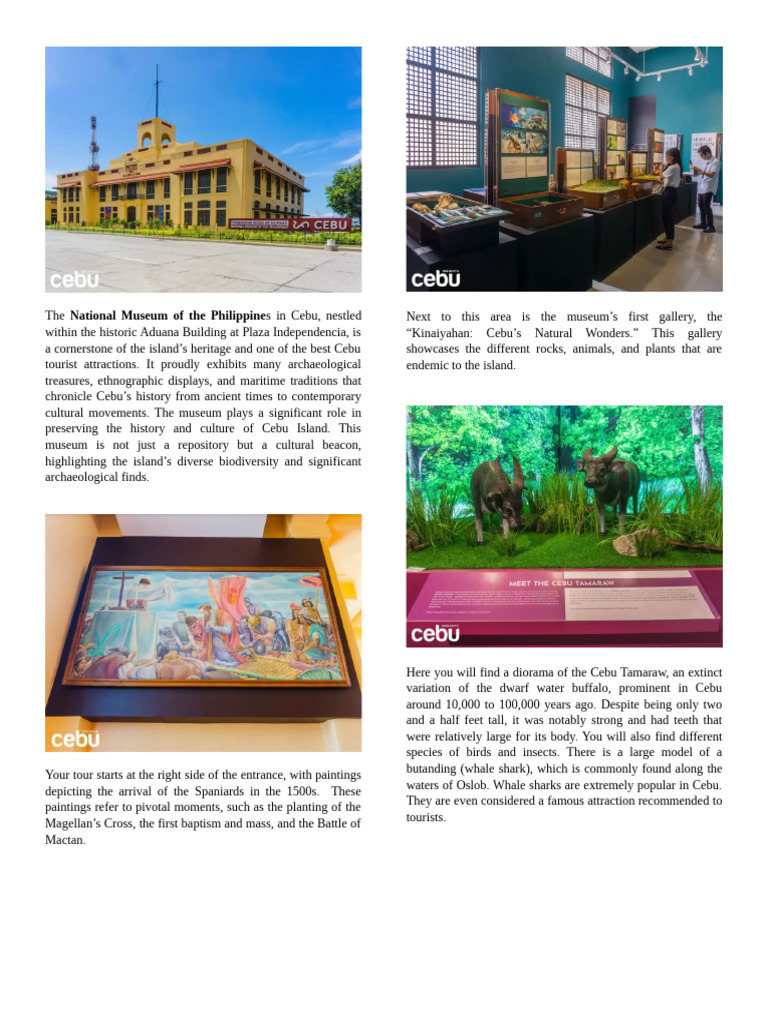 Explore Cebu's National Museum Highlights | PDF | Cebu