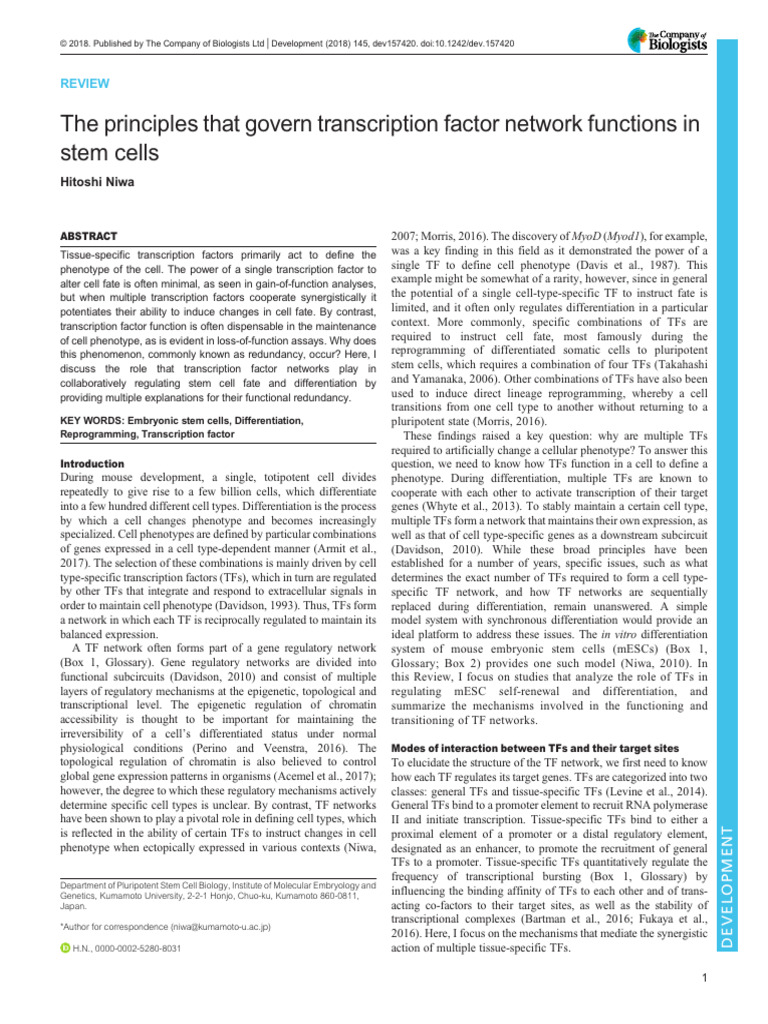 2018 - Dev - Niwa TF Network Functions in Stem Cells | PDF | Cellular ...