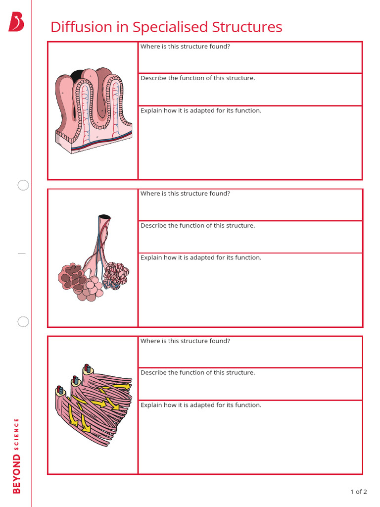 Adaptations for Efficient Diffusion | PDF | Diffusion
