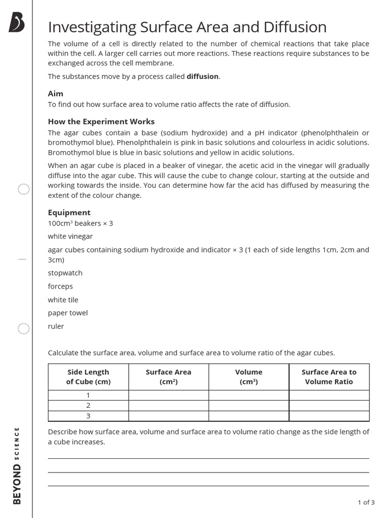Investigating Surface Area and Diffusion Higher Worksheet | PDF | Volume | Area