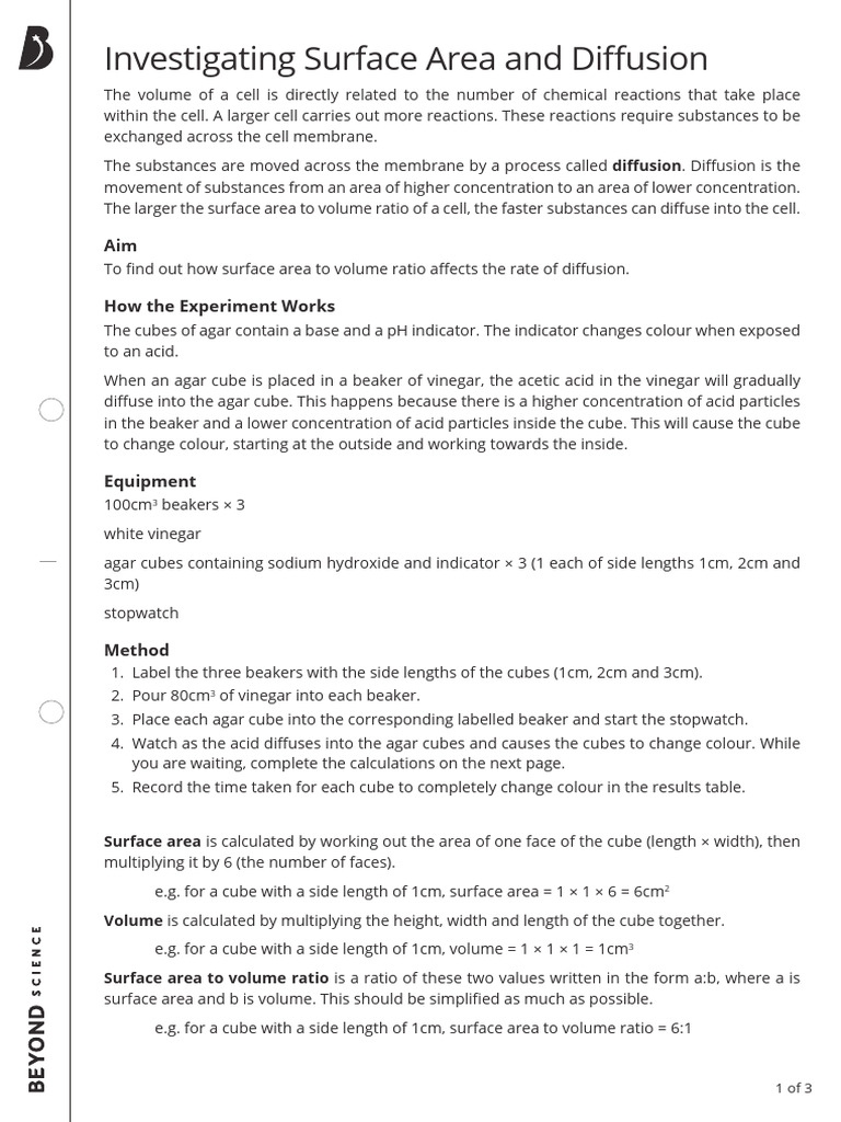 Investigating Surface Area and Diffusion Foundation Worksheet | PDF ...