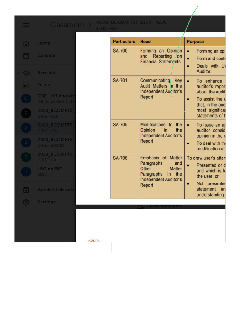 Audit Report & CARO | PDF