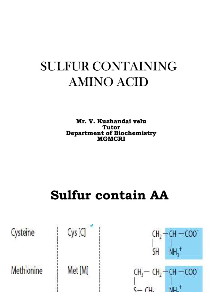 Sulfur-Containing Amino Acids Overview | PDF