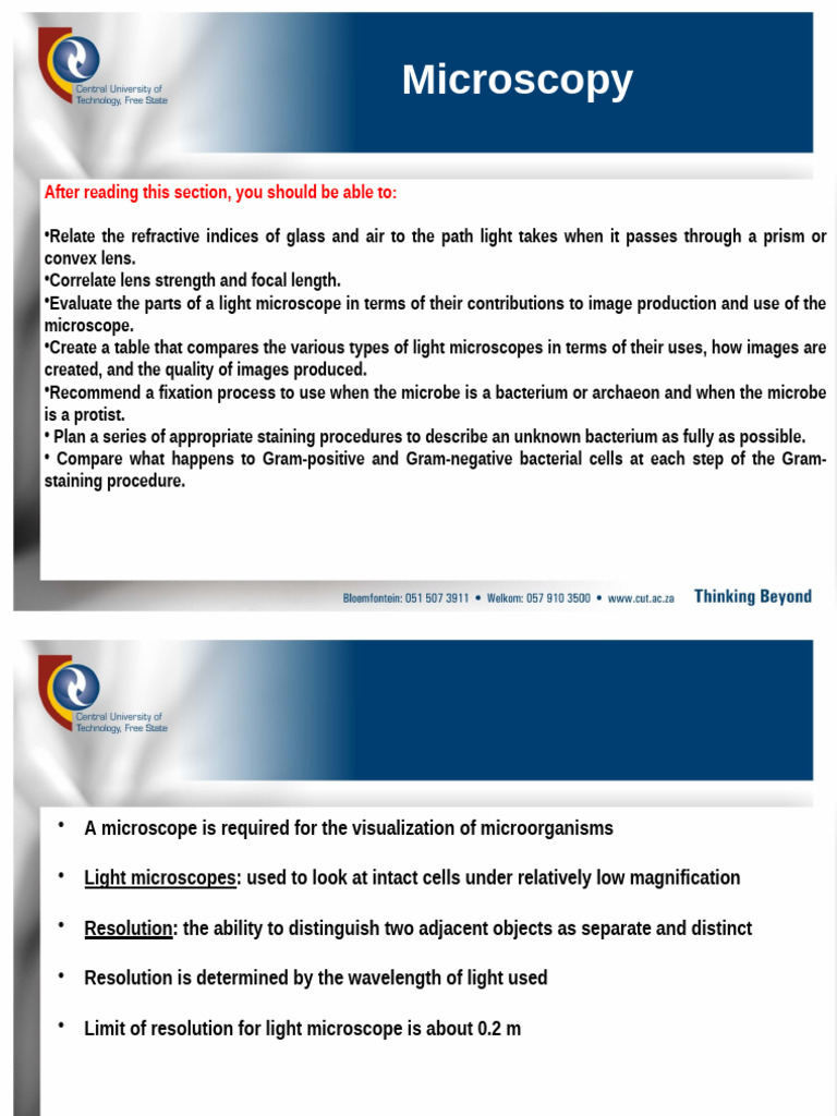 Understanding Light Microscopy Techniques | PDF | Microscopy | Staining