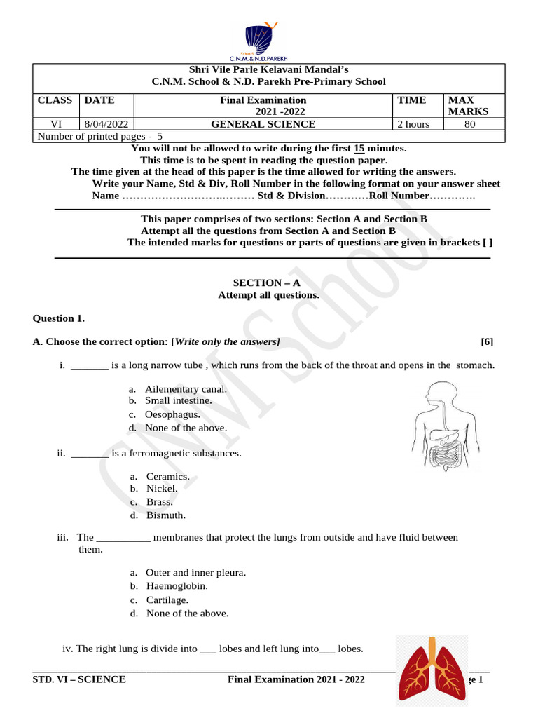 STD V First Term Math 2024 | PDF | Force | Iron