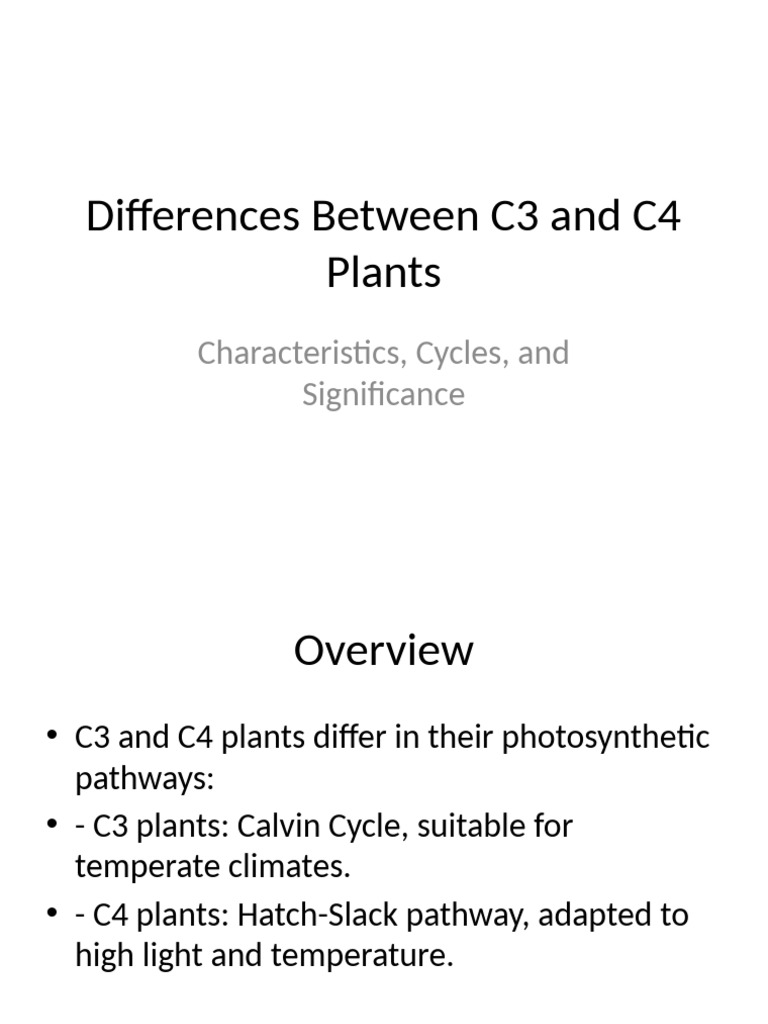 Differences Between C3 and C4 Plants | PDF