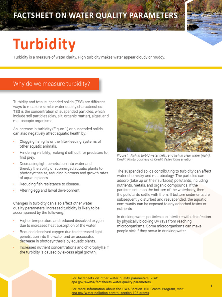 parameter-factsheet_turbidity | PDF | Water Quality | Water