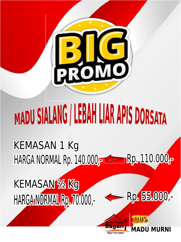 Big Promo | PDF