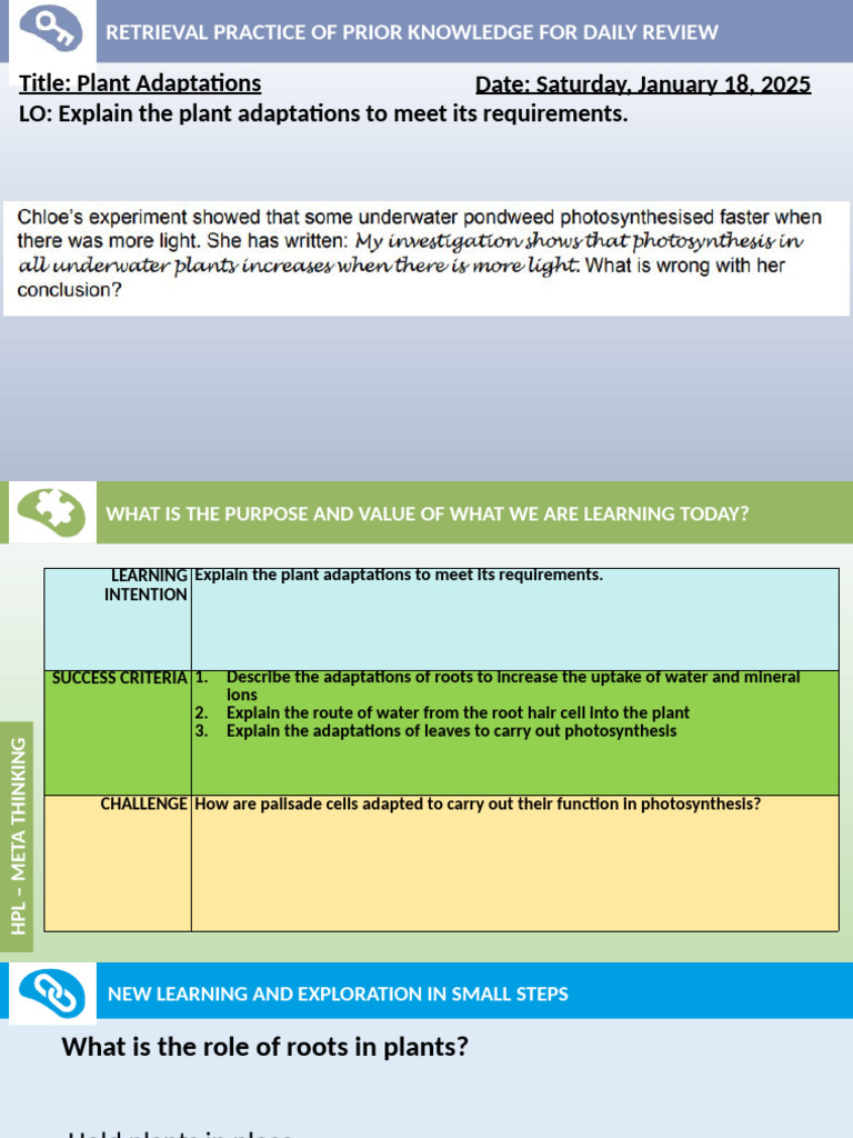Lesson 2 and 6 9Bb Plant Adaptations | PDF | Leaf | Stoma