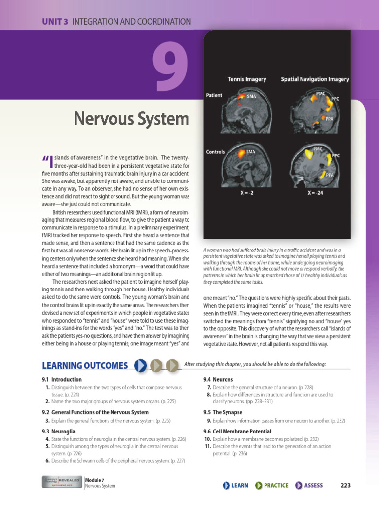 Ch09_Nervous_System | PDF | Nervous System | Axon