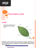 Adaptations of The Leaf For Photosynthesis and Gaseous Exchange | PDF ...