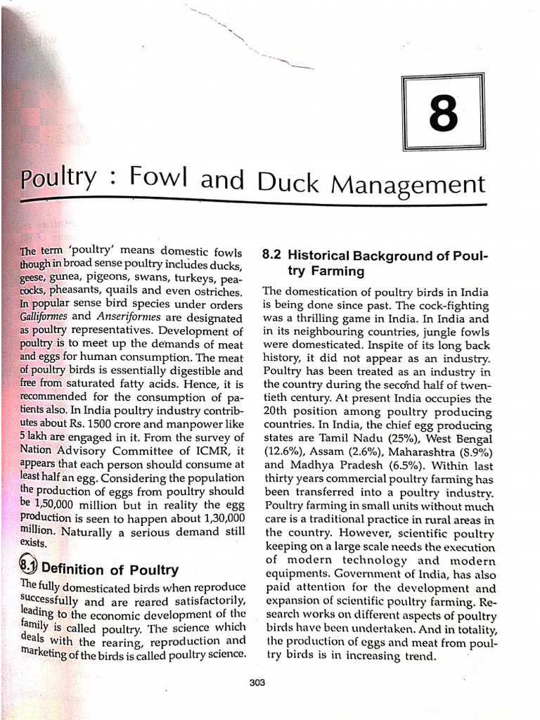Poultry Total | PDF