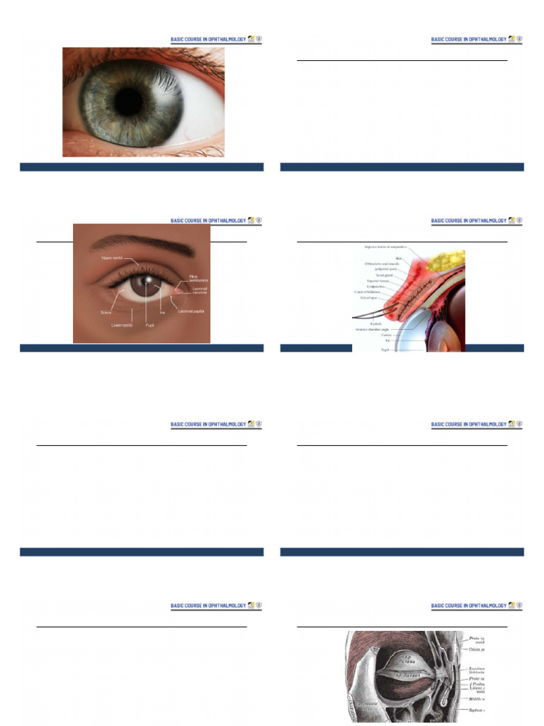 Handout - ATan - Physiology and Exam of The Eyelids | PDF | Human Anatomy