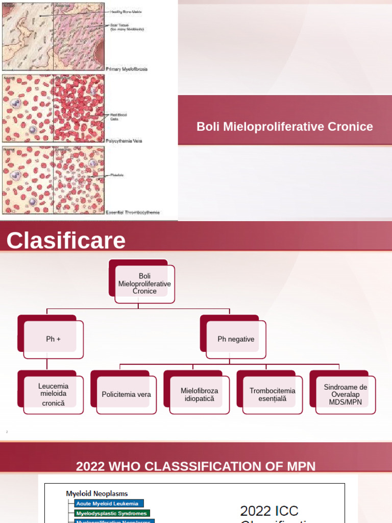CML - PV Rom-108106 | PDF | Leukemia | White Blood Cell