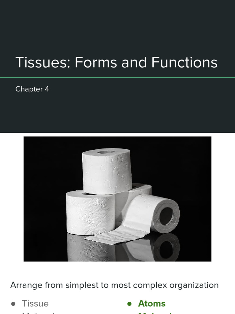 Science 8 - Tissues: Forms and Functions | PDF | Connective Tissue ...