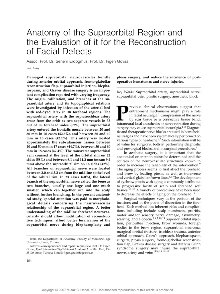 Supraorbital Region Anatomy Study | PDF | Vein | Surgery