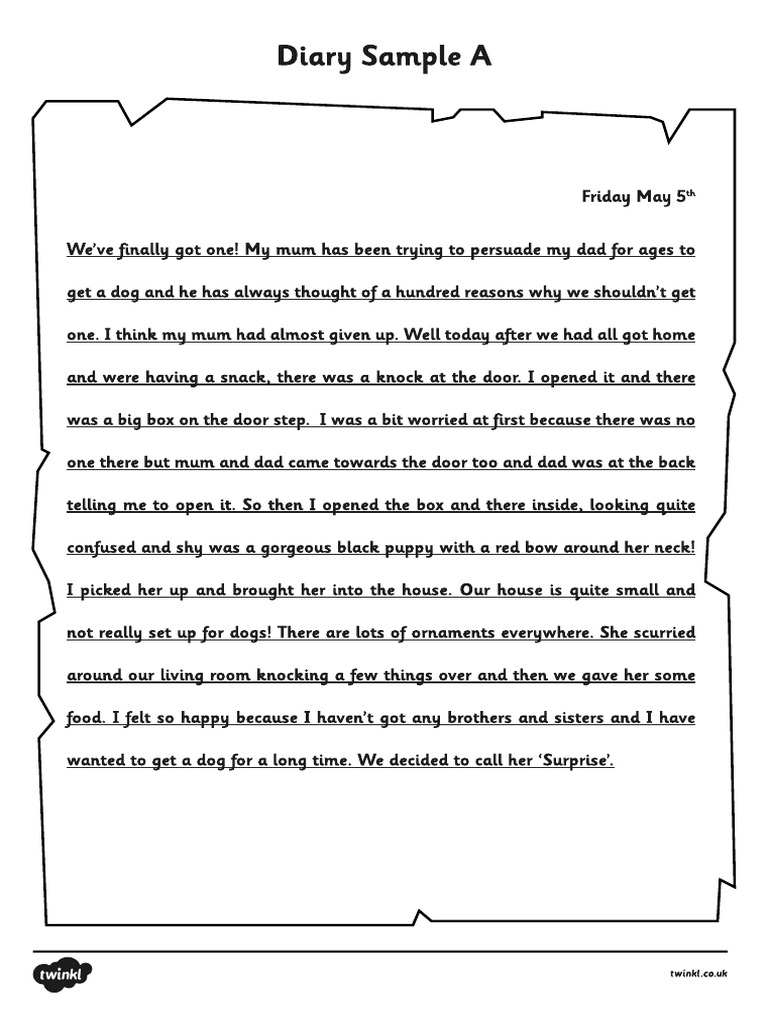 Diary Examples 2 | PDF