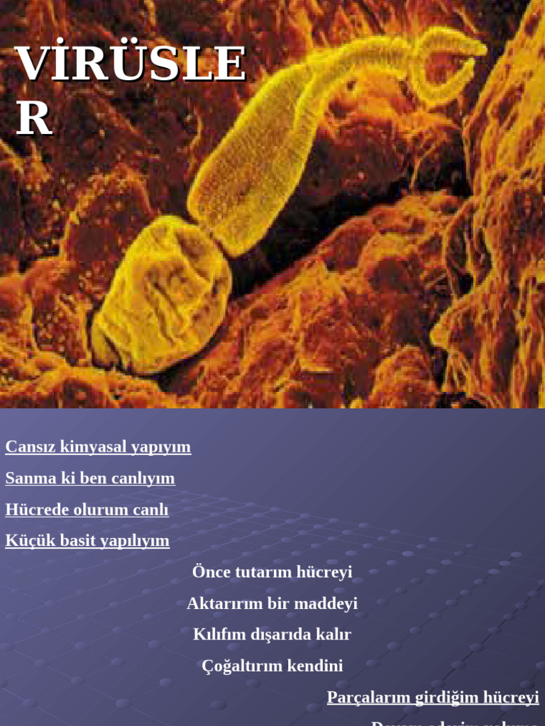 Virus | PDF