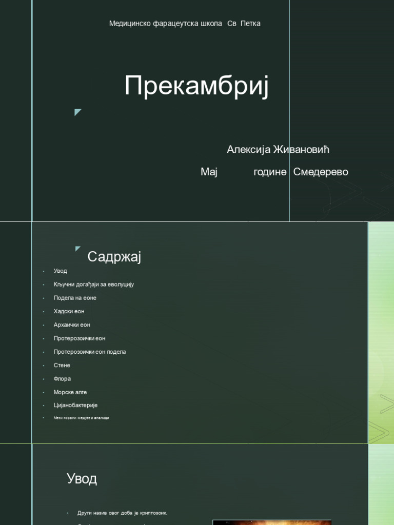 Presentation 3 | PDF