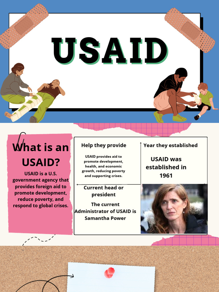 USAID: Global Development Aid | PDF