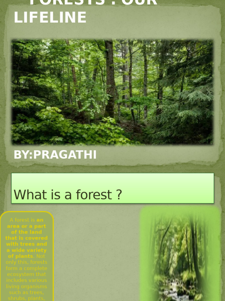 FORESTS Presentation | PDF