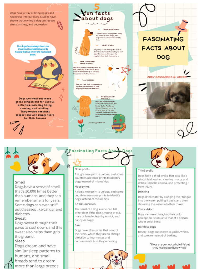 Dogs Facts | PDF