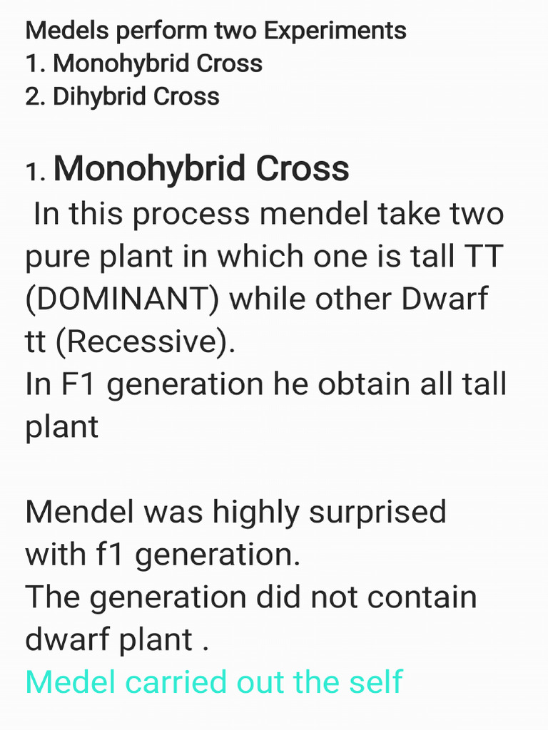Monohybrid Cross | PDF
