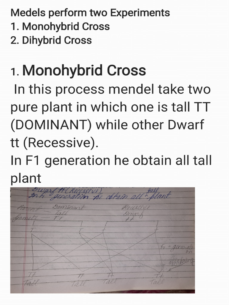 Mendels Experiment Science | PDF