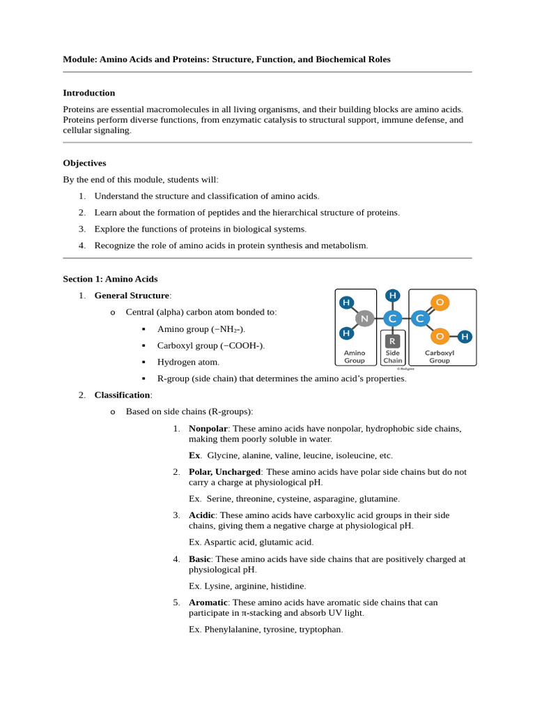 Module-Amino Acid and Proteins | PDF | Amino Acid | Proteins