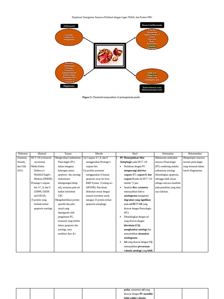 Eksplorasi Sinergisitas Senyawa Polifenol Dengan Ligan TRAIL Dan Protein DR5 | PDF