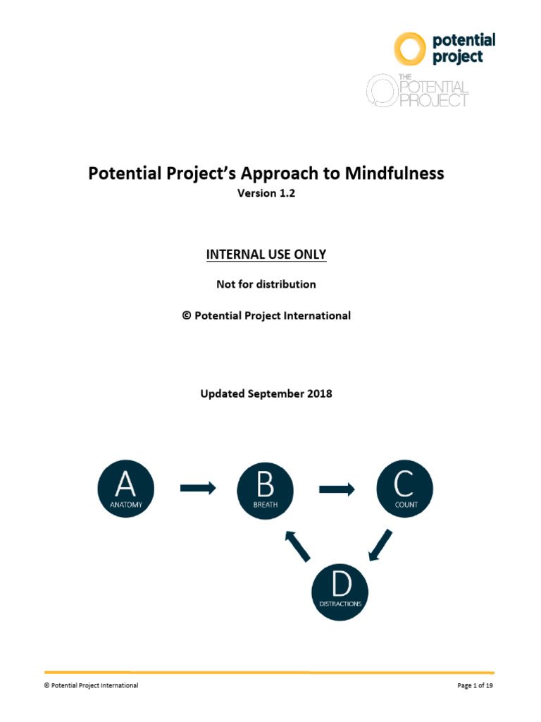 Potential Projects Approach To Mindfulness V 1 2 1 | PDF | Sati ...