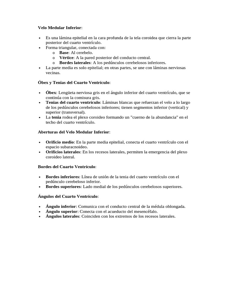 Velo Medular Inferior | PDF